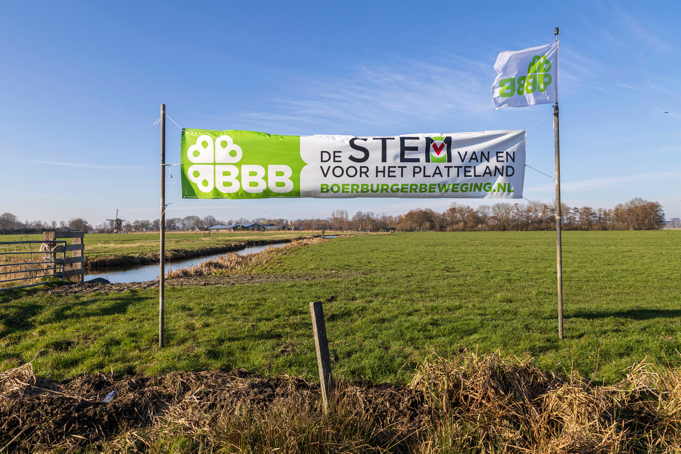 Zal BBB straks braaf de landelijke regels volgen? ‘Nee zeggen tegen Den ...