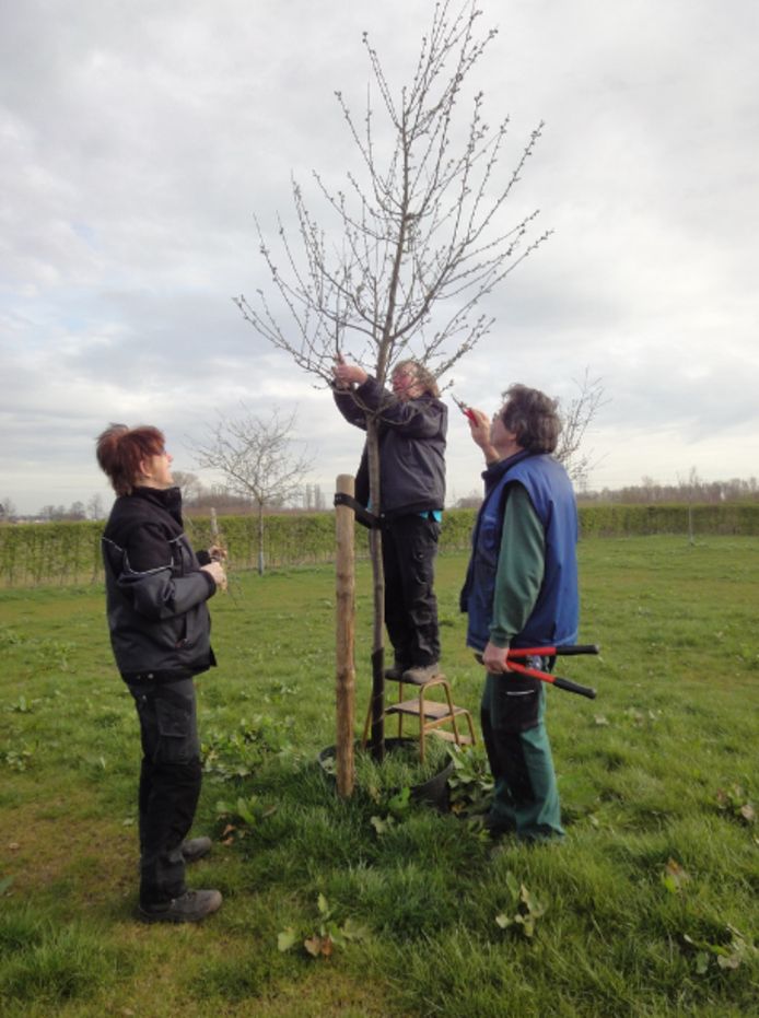 Deventer stichting schenkt Apeldoorn boomgaard | Apeldoorn | destentor.nl