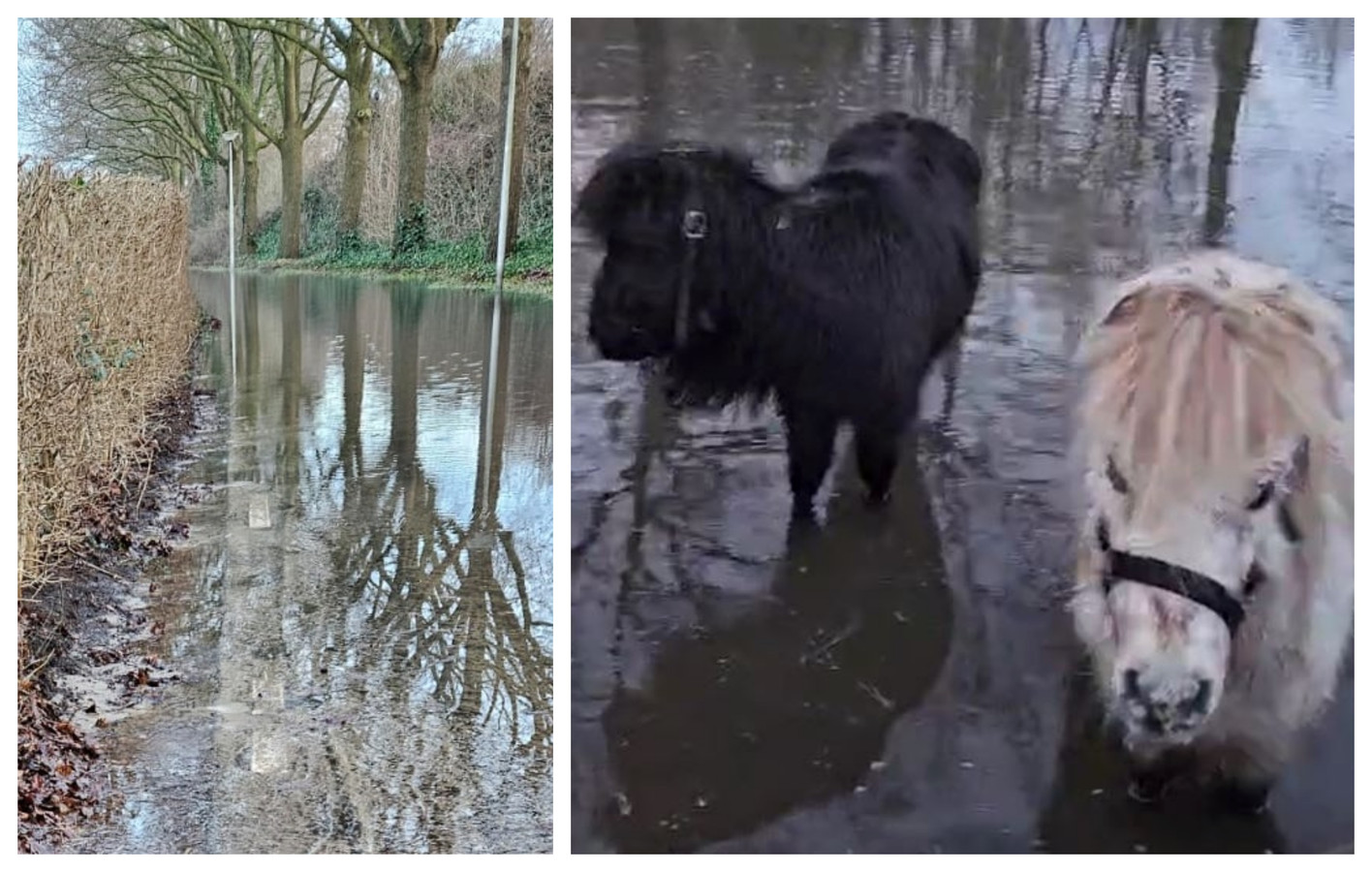 Veel wateroverlast door leidingbreuk in Hoogland: ‘Zoveel water heb ik ...