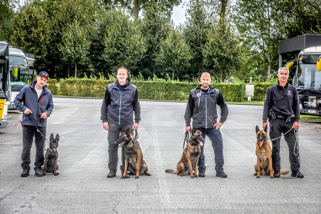 REPORTAGE. Op pad met de West-Vlaamse politiehonden: “Cash geld vinden ...
