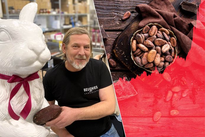 Cacaoprijs door het dak, chocolatiers van Beugnies reageren: “De ...