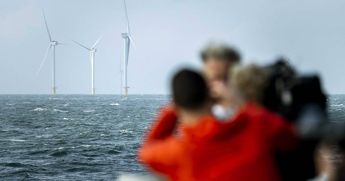 Nieuw Ventilus-rapport bevestigt: “Bovengrondse stroomlijn is enige ...