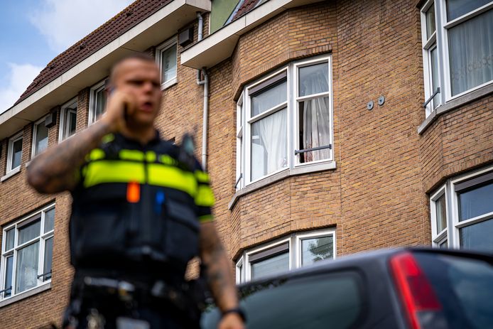 Joyce moest kiezen: óf een sprong uit het raam, of vermoord worden door ...