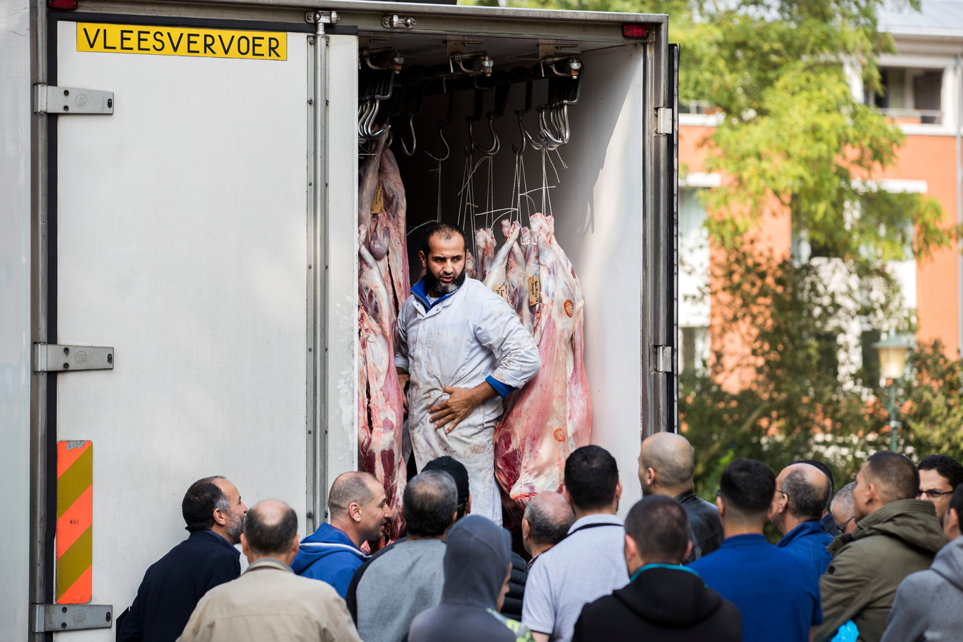 Offeren van schaap of rund in Nederland steeds duurder: ‘Dit is niet te ...