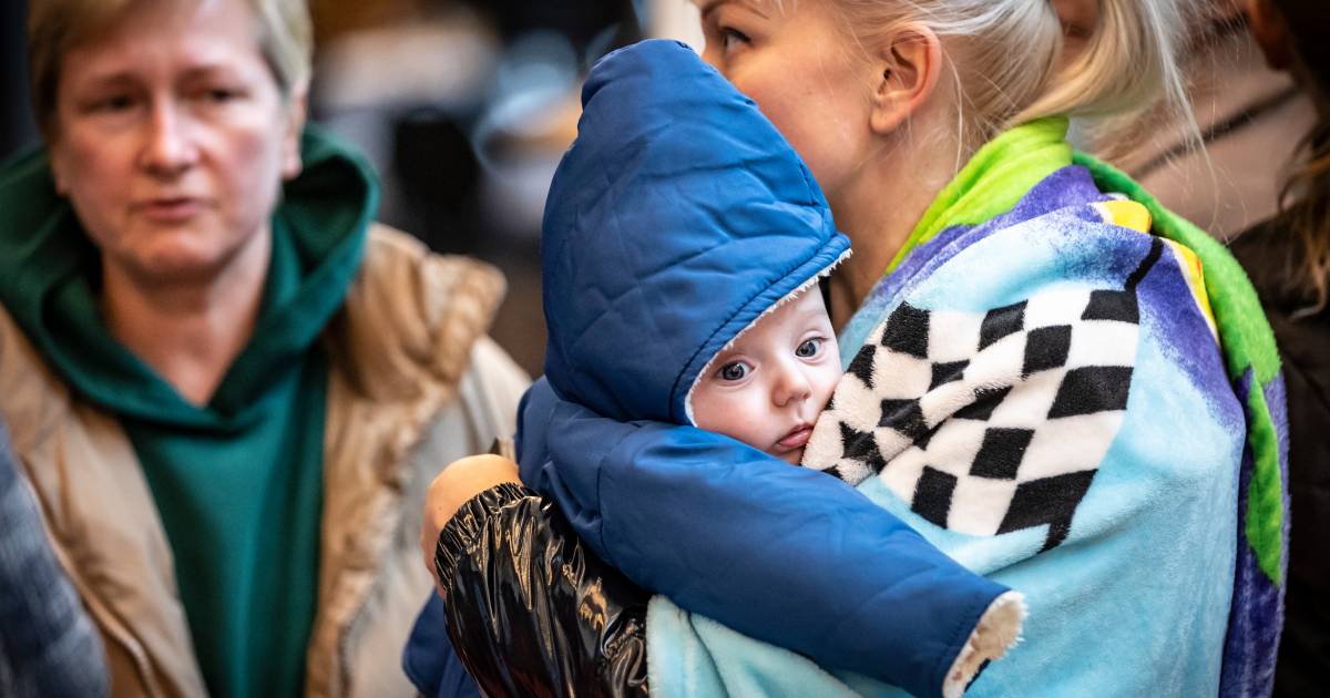 Rek is eruit bij Twentse gastgezinnen van Oekraïense vluchtelingen: ‘Ze ...
