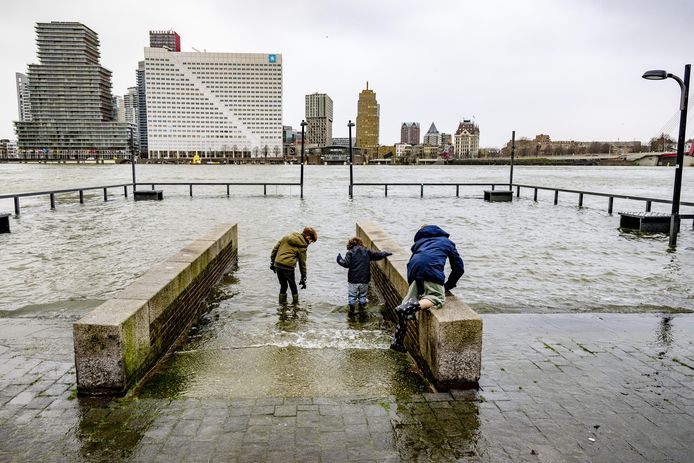 Extreme regen zoals in Limburg zou in Zuid-Holland miljarden aan schade opleveren | Rotterdam ...