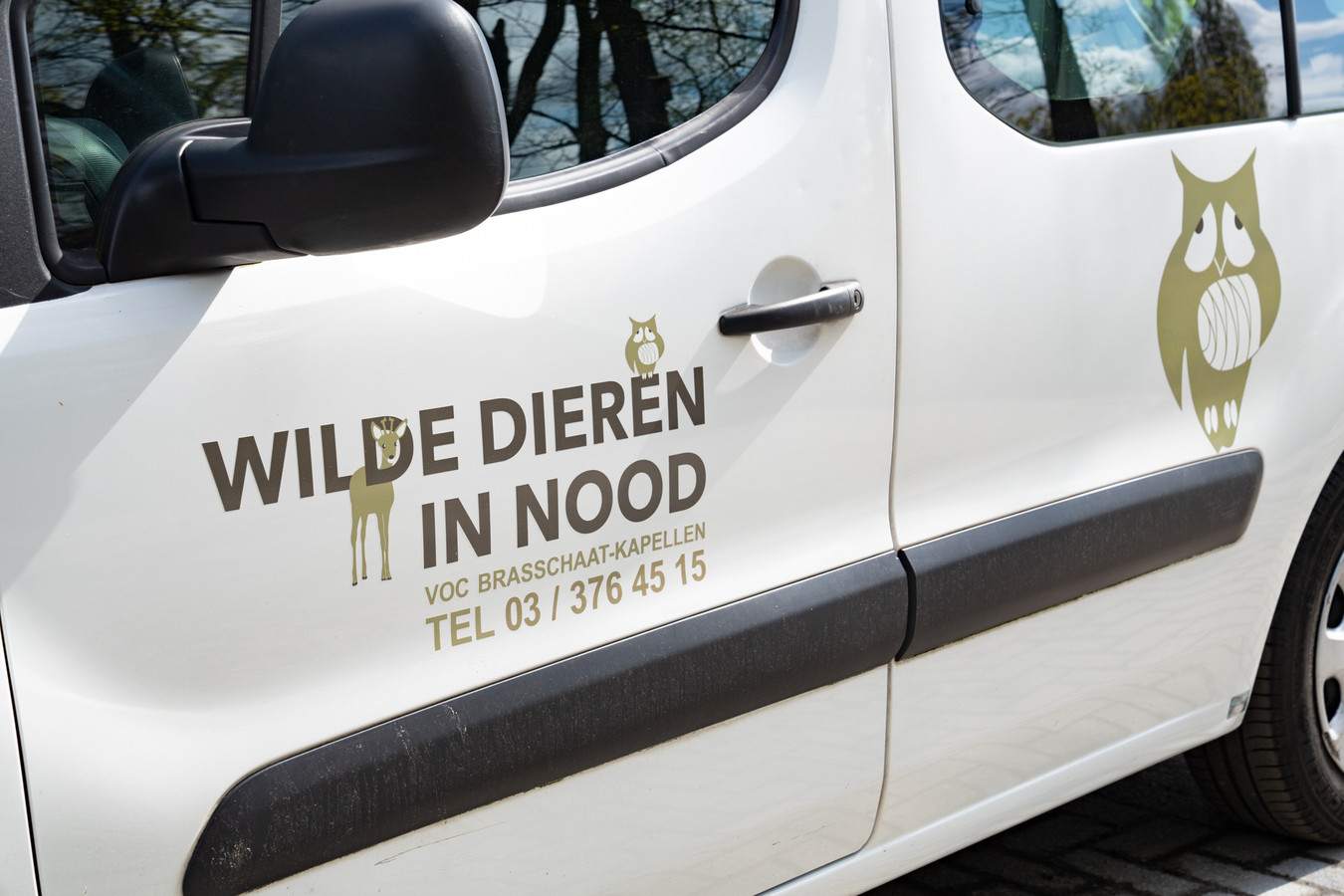 REPORTAGE. Onze man helpt mee in opvangcentrum voor wilde dieren: “Voor bosuil Boris mag ik een ...