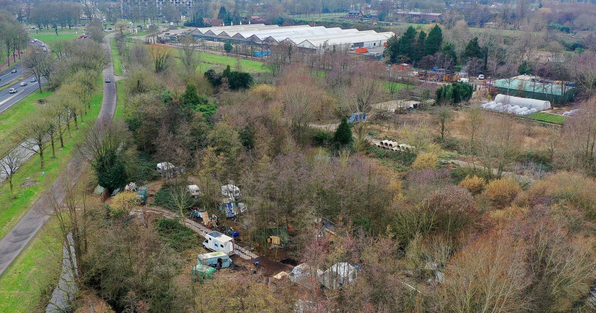Hier in Overvecht moet een ‘groene stadsoase’ komen, maar groep ...