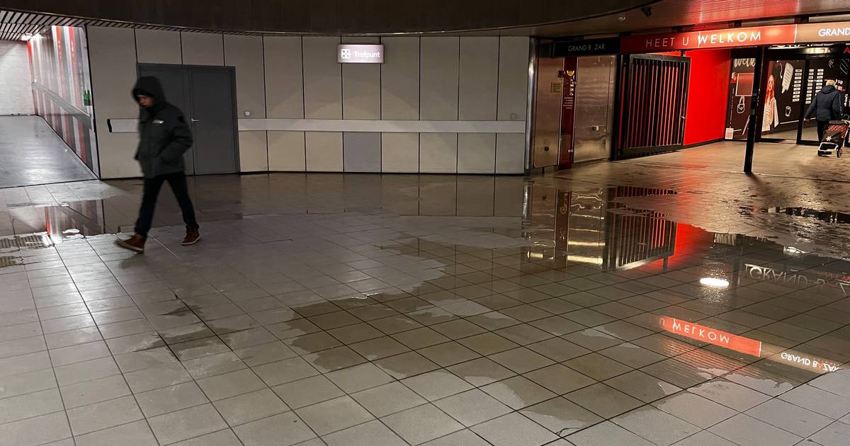 Grote plas water in premetrostation van Groenplaats: nog onduidelijk ...