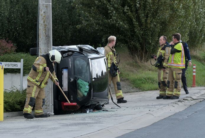 Automobiliste moet uitwijken voor kat en knalt tegen paal | Lendelede ...