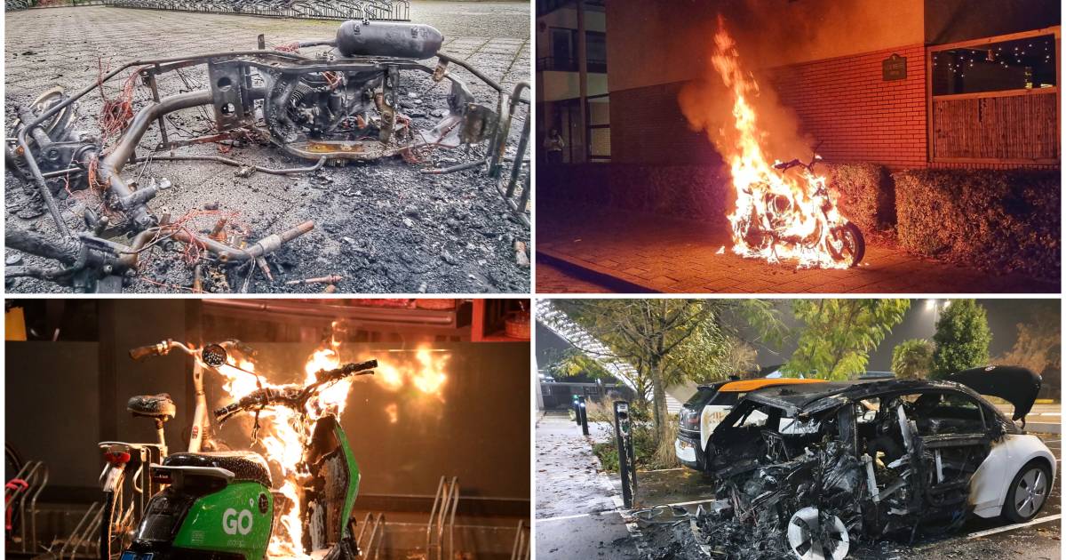 Iedere dag vliegt er wel íets in de fik in Amersfoort: is de stad in de ...