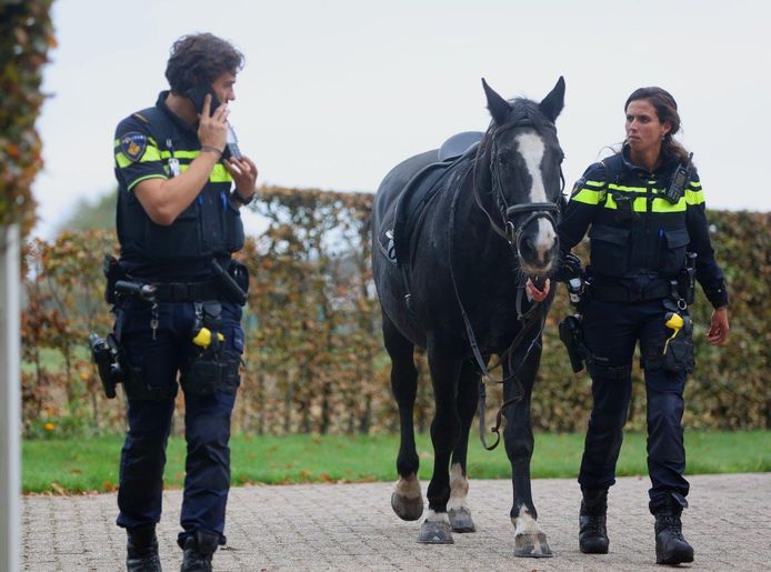 Ruiter zwaargewond door val van op hol geslagen paard in Biezenmortel ...
