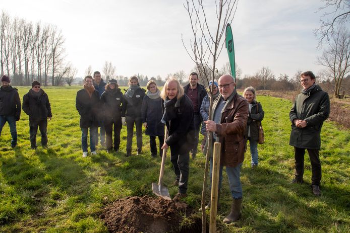 Wetteren gaat 6.000 nieuwe bomen planten op 3,7 hectare groot perceel ...