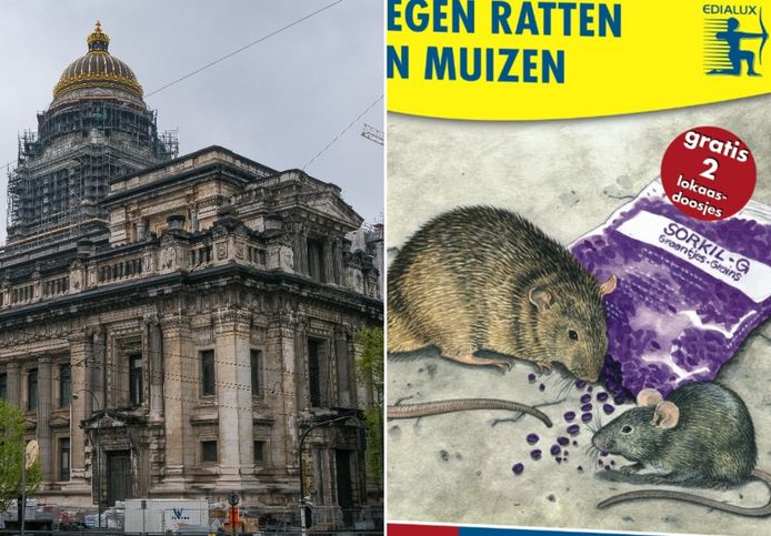 Waarom vergiftigde Jean-François G. zijn beste vriend? “Zo had hij ...