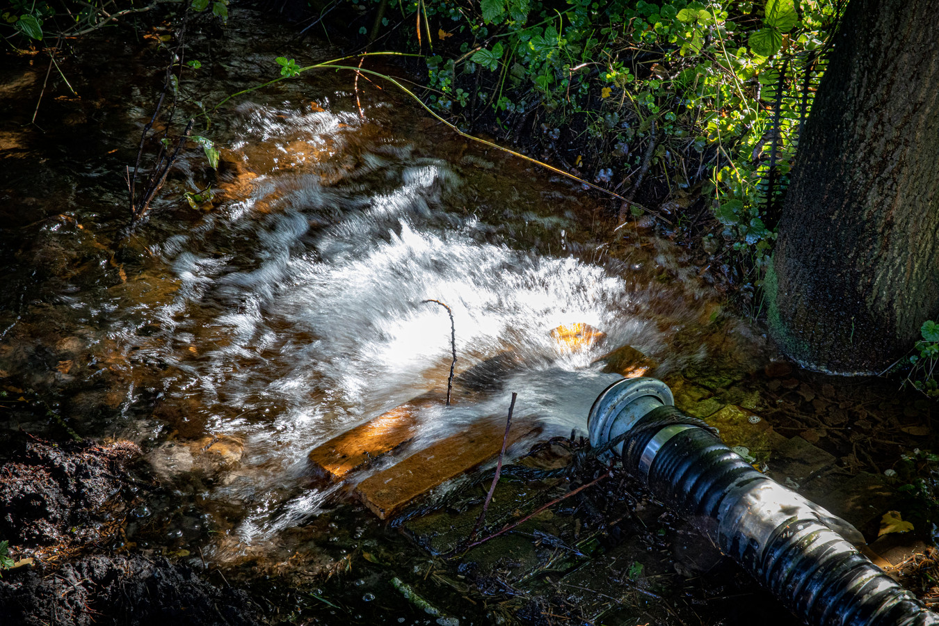 Waterschappen die toch zelf grondwater oppompen? Op zeven plekken in ...