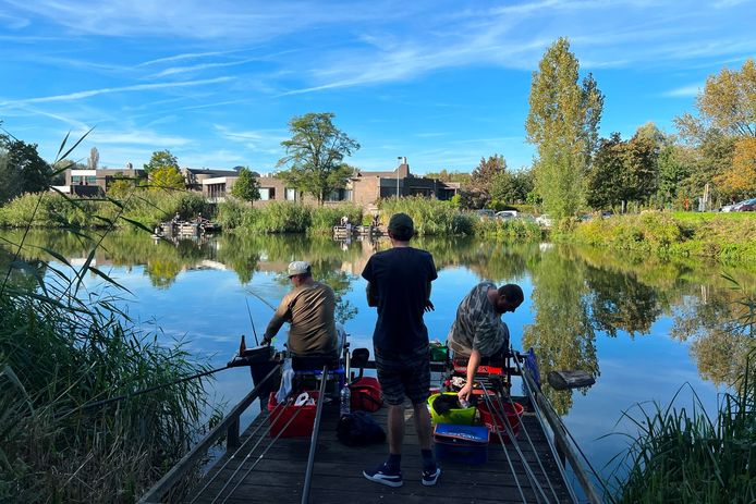Eerste viswedstrijd Grote Prijs Steenberg werd sfeervol gebeuren | Erpe ...