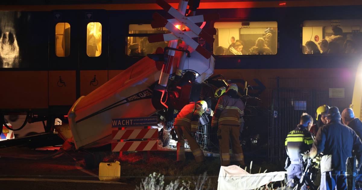 Man die paarden uit losgeraakte trailer wil halen zwaargewond bij ...