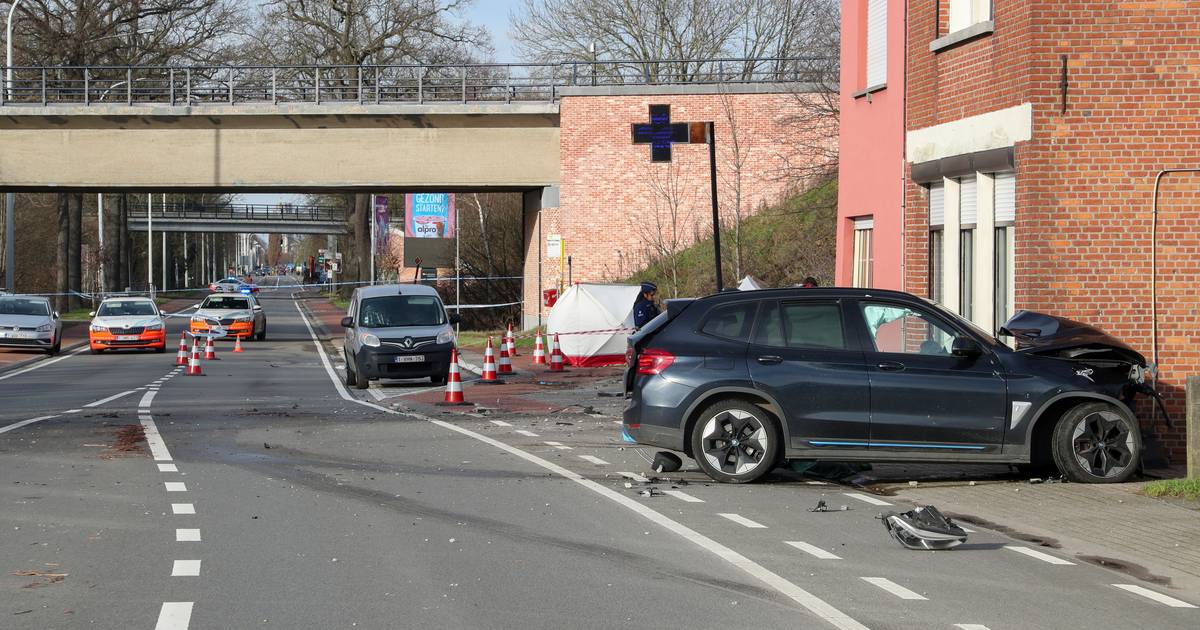 Chauffeur die onwel werd en dodelijk ongeval veroorzaakte in Muizen heeft ziekenhuis verlaten ...