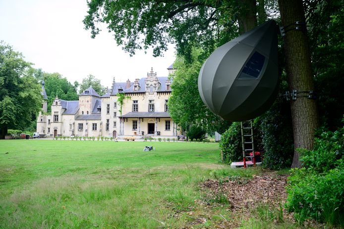 Slaap eens in boomtent aan betoverend kasteel van Westmalle: “’s Avonds ...