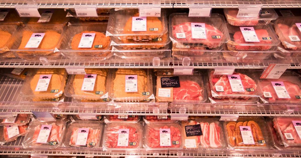 Man met 'bochel' blijkt gepikt vlees op rug te verstoppen | Dordrecht ...