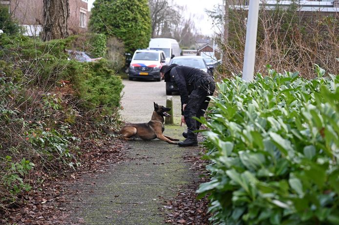 Gewapende overval op ouder echtpaar in Nijmegen; bewoner licht gewond bij worsteling | Nijmegen ...