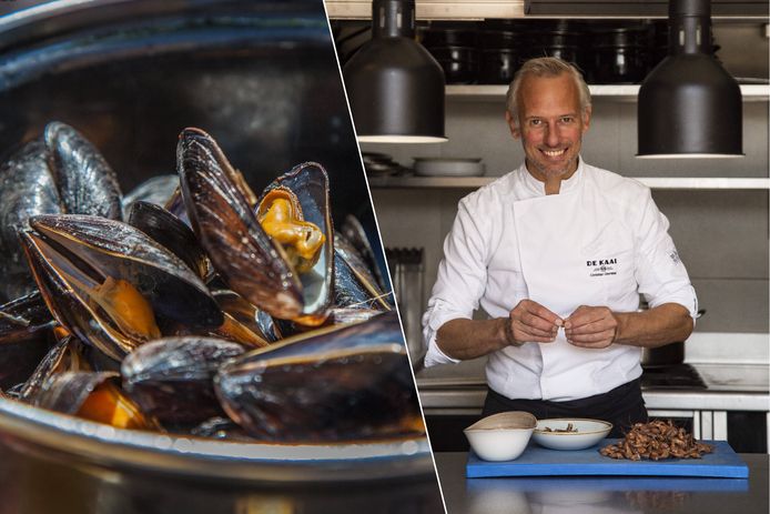 Seafood in Brussel, de Rand en het Pajottenland: in deze 6 restaurants ...