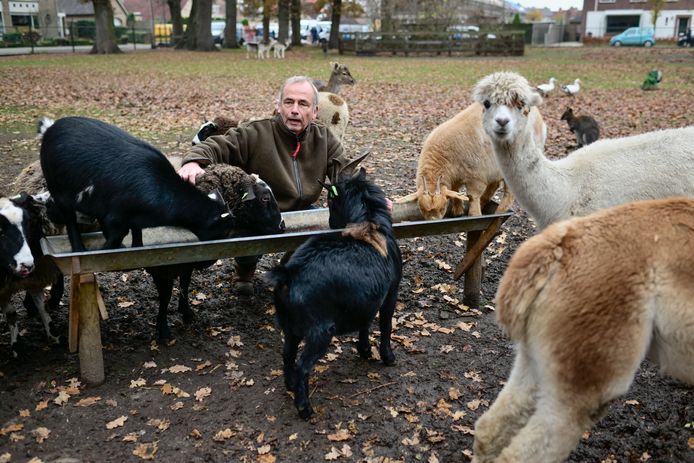 Al bijna twee jaar ligt plan voor herinrichting hertenkamp in Borne ...