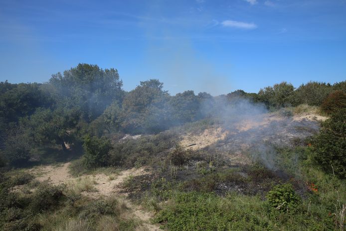 Branden in duingebied tussen Scheveningen en Kijkduin | Den Haag | AD.nl