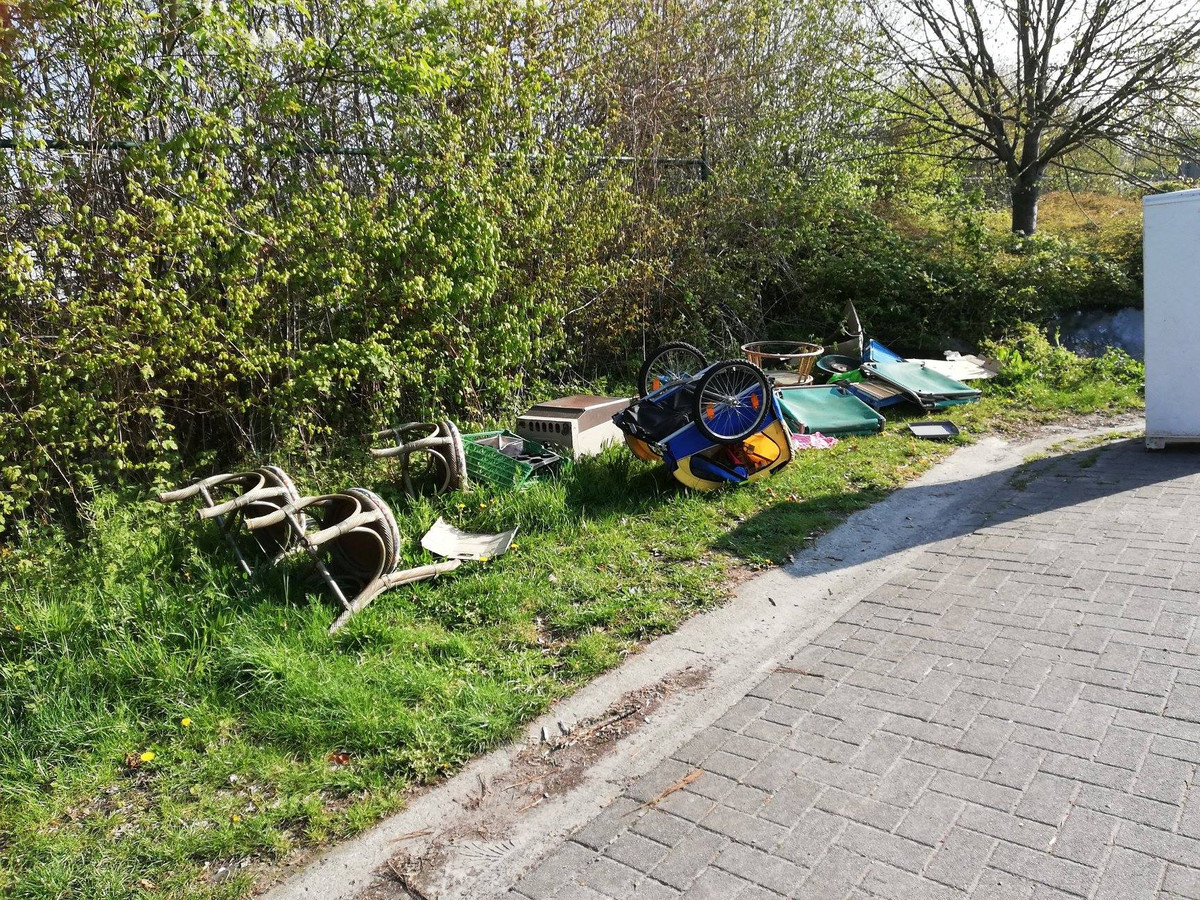 Dit zijn de kandidaten voor Vlaams Belang, en hun plannen voor Damme ...