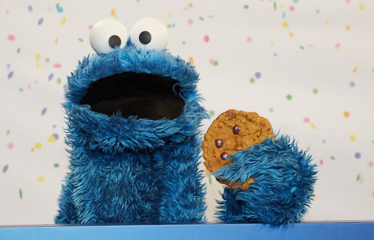 Hoe een steen op het koekiemonster gaat lijken | De Volkskrant