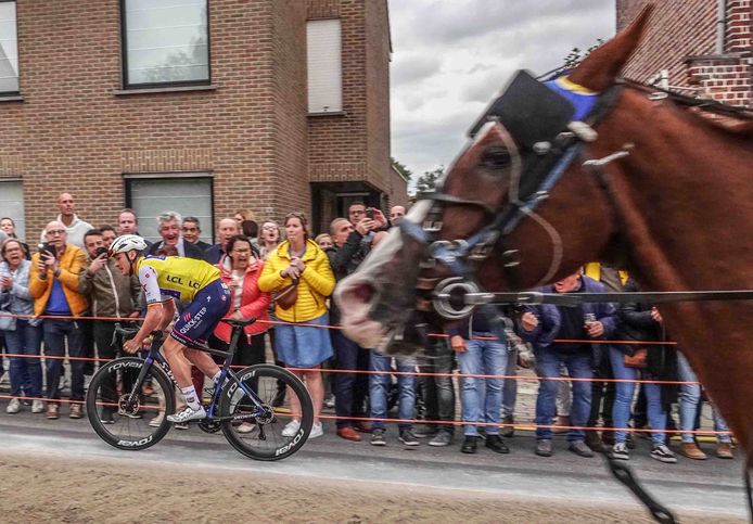 Yves Lampaert haalt het op Winkel Koerse tegen... een paard: “Ik heb ...