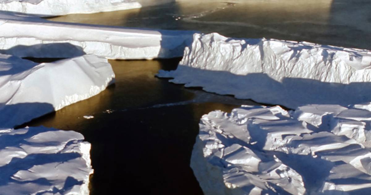 Nederland slecht af na smelten ijs Zuidpool | Nieuws | AD.nl