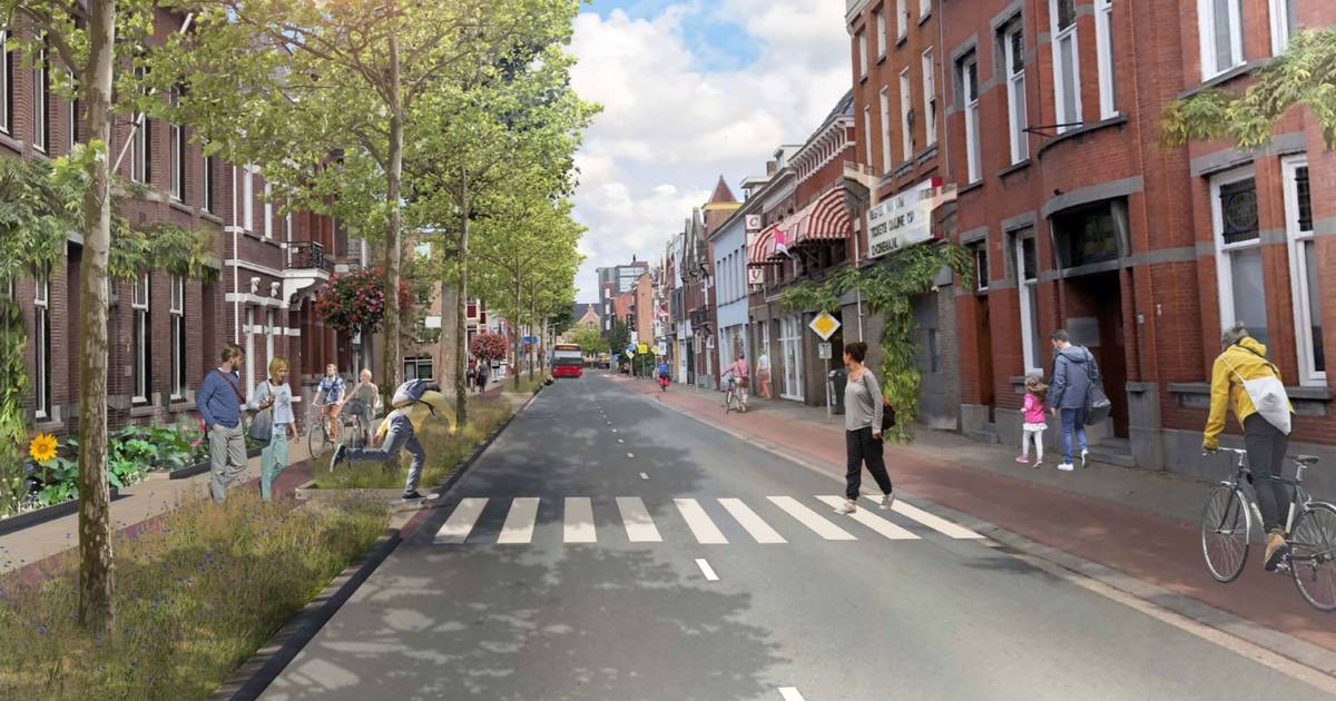 Roosendaal moet ‘groene parel’ worden: meer natuur in de straten ...