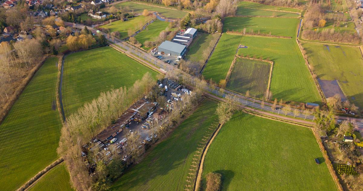 Valkenswaard zet dwangsom in om perceel houthandel Daams weer natuur te ... Valkenswaard zet dwangsom in om perceel houthandel Daams weer natuur te ...