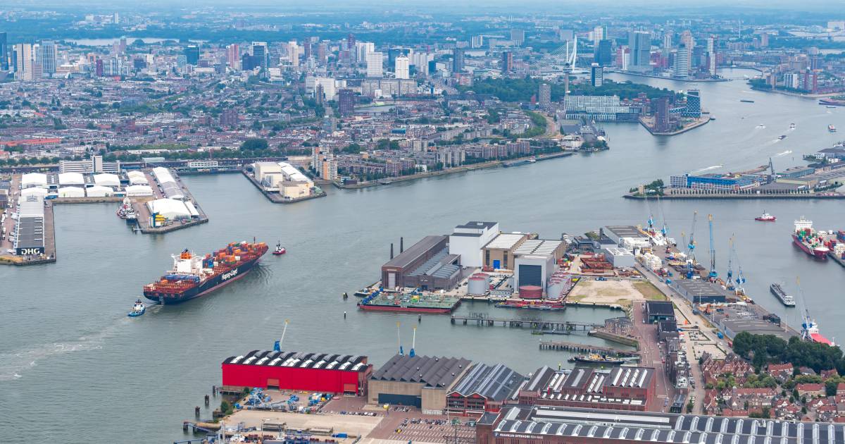 Drukte op Rotterdamse wateren: cruiseschip meert aan in de Merwehaven ...