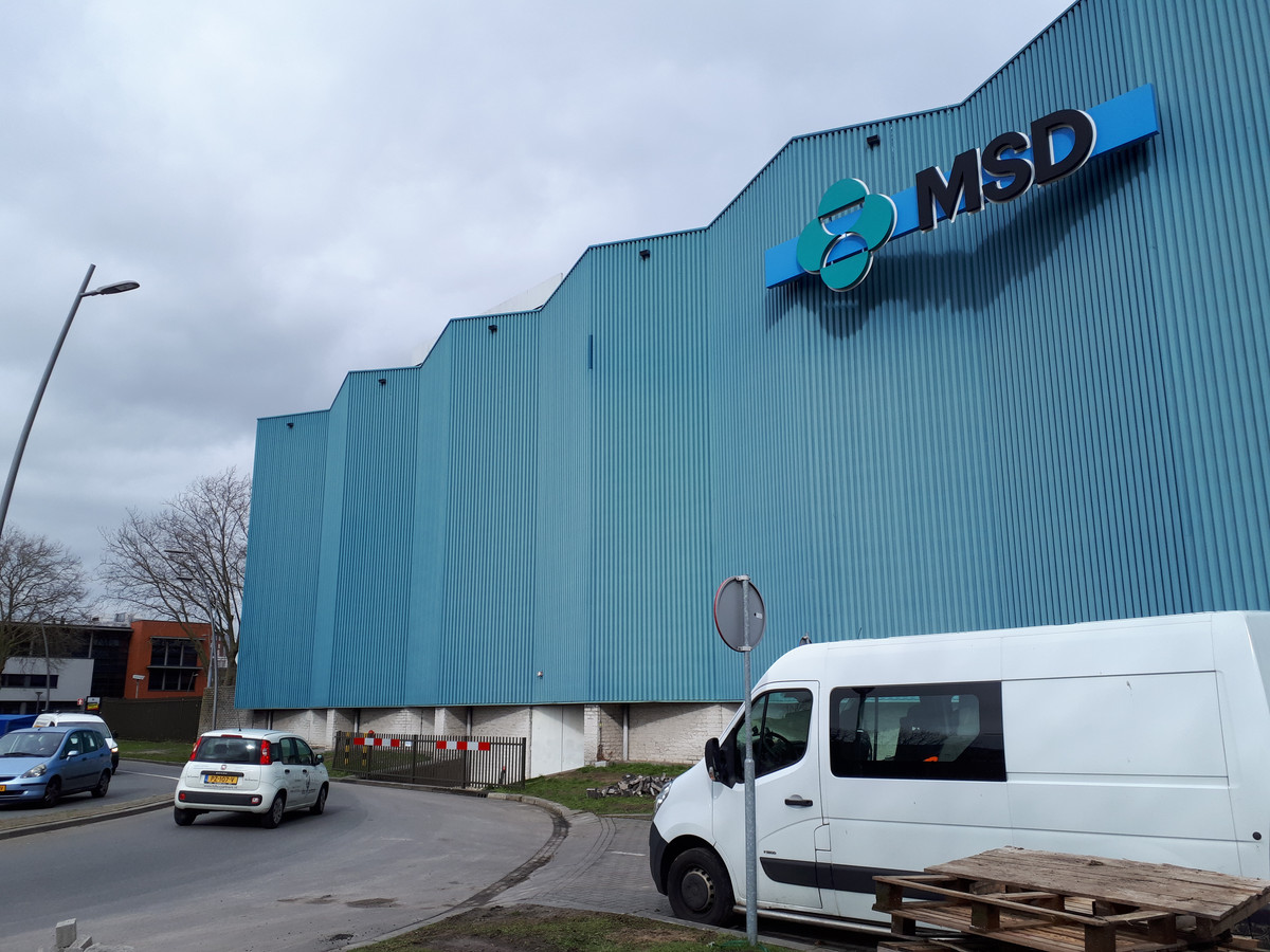 Wordt het MSD of Organon? Personeel in Oss krijgt het donderdag te ...