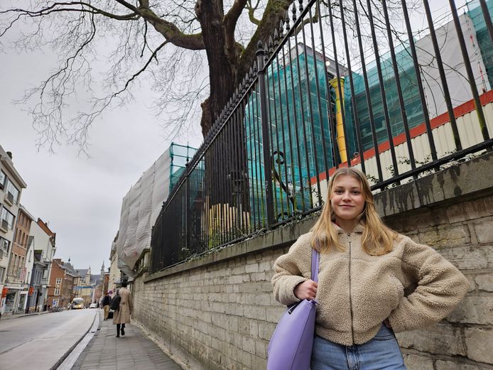 Hoeveel heeft de Leuvenaar over om deze Boom van ‘t Groot Verdriet te ...