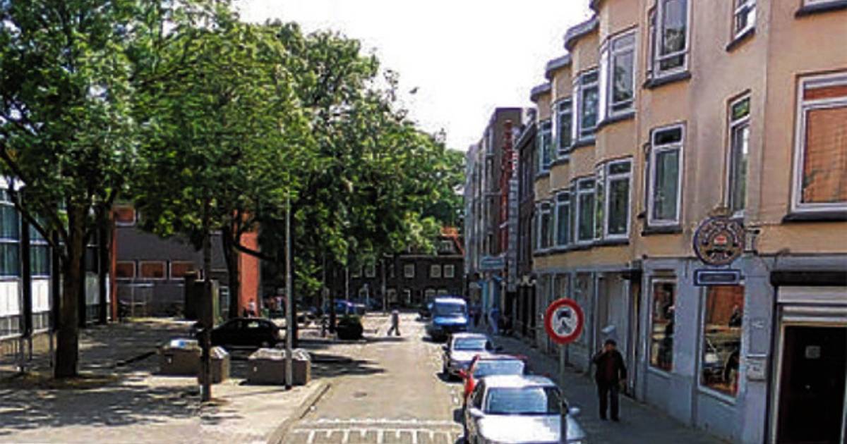 Naakte 'overvaller' bij lurven gegrepen | Rotterdam | AD.nl