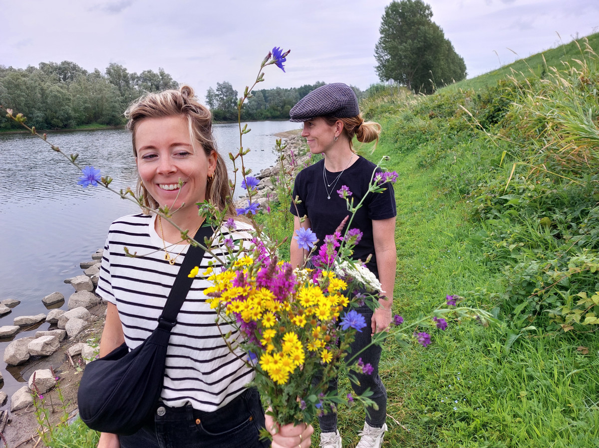 Drukte bij eetbare-plantenwandeling: ‘Met madeliefjes kun je de soep ...