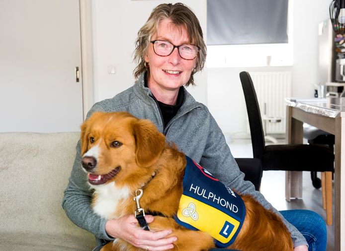 ‘Niet aaien, aankijken of toespreken!’ Katja (51) roept op om haar ...