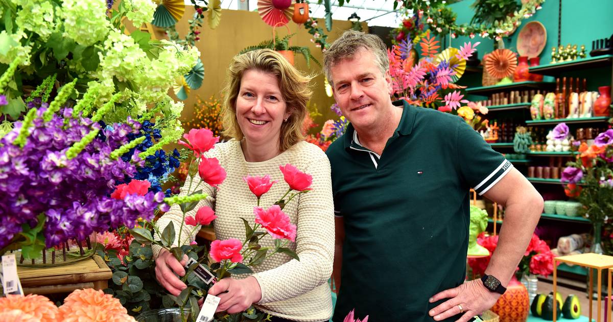 Vroeger had iedereen een houten schutting, nu is alles groen: hoe de ...