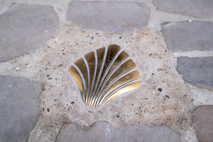 Bronzen schelpen tonen de weg naar Compostela | Lier | hln.be