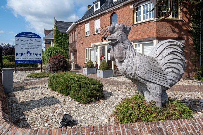 Advocaat van Den Gouden Haan: “Ik experimenteer graag met smaken. Ondertussen hebben we al meer ...