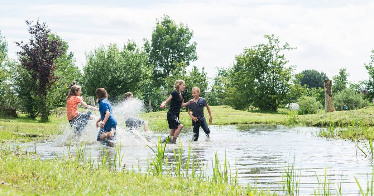 Bouw restaurant 'Wereld van Weelde' in Nieuw Wulven van start in ...