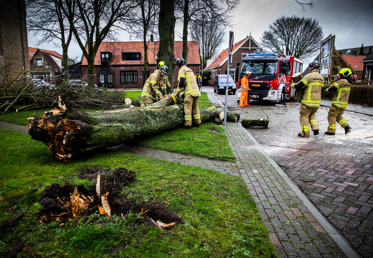 Meldingen over stormschade blijven binnenstromen, veel omgewaaide bomen ...