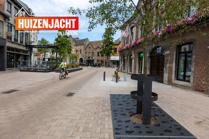 HUIZENJACHT. Bree, een historische stad met alles binnen handbereik ...