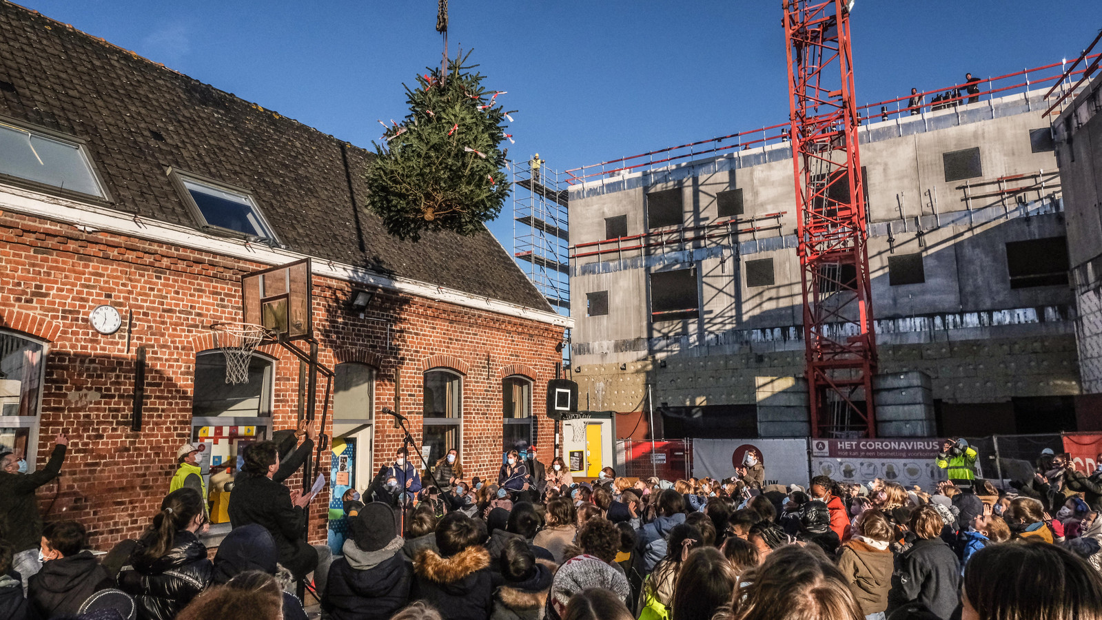 Meiboom op dak van school geplaatst: “Bouwwerken zijn halfweg” | Foto ... Meiboom op dak van school geplaatst: “Bouwwerken zijn halfweg” | Foto ...