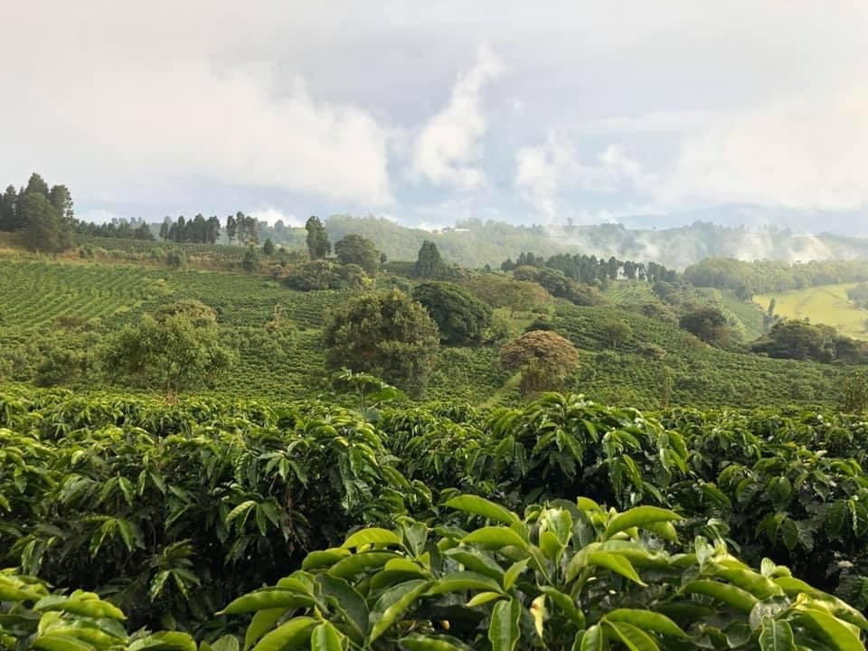 Megense Annelise gaat voor duurzame koffiehandel door directe inkoop ...