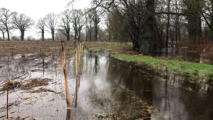 Twentse beken raken in de zomer sterk vervuild door medicijnresten en ...