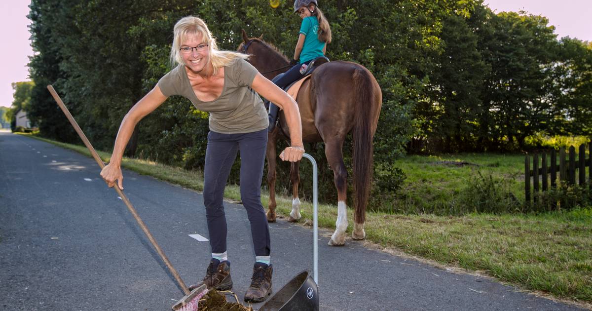 Paardenpoep, Bodegraven-Reeuwijk wordt er strontziek van | Alphen | AD.nl